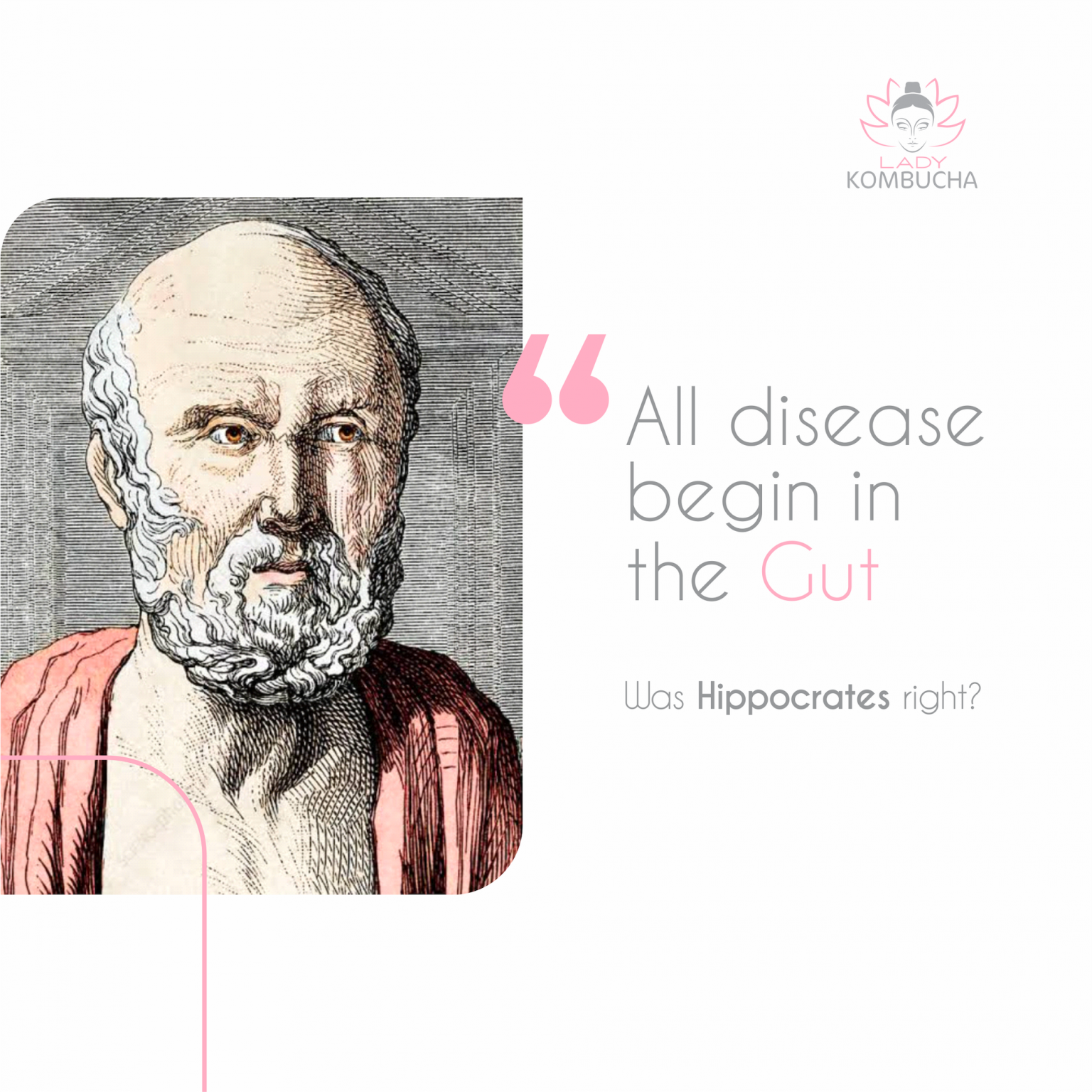 “ALL DISEASES BEGIN IN THE GUT” – Hippocrates - Lady Kombucha